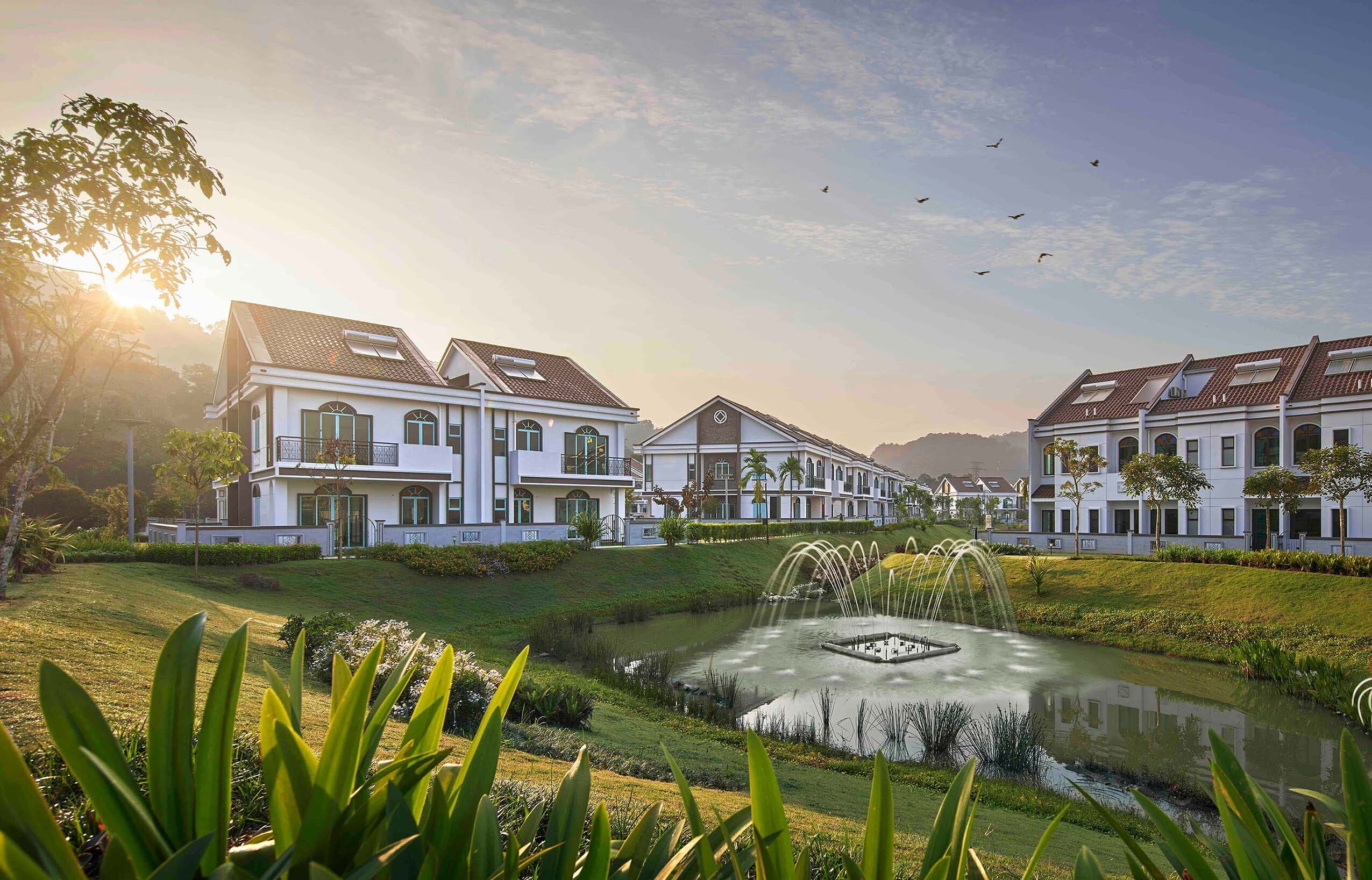 A Leaner and Fitter Setia