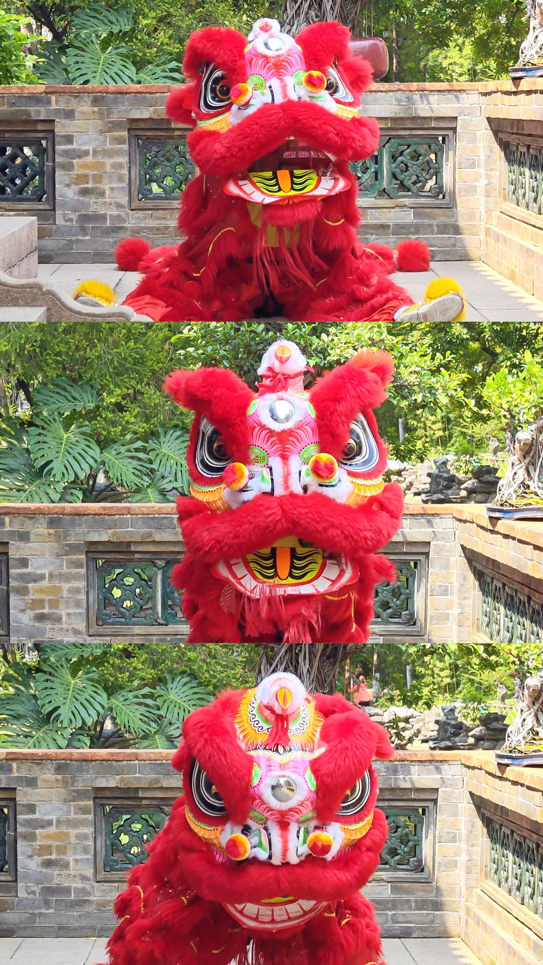 Watch a lion master every human emotion: no chill, only fluff