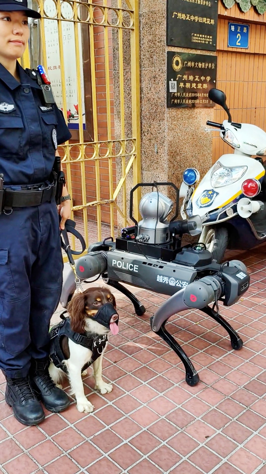 Real vs. robotic: An encounter between two police dogs