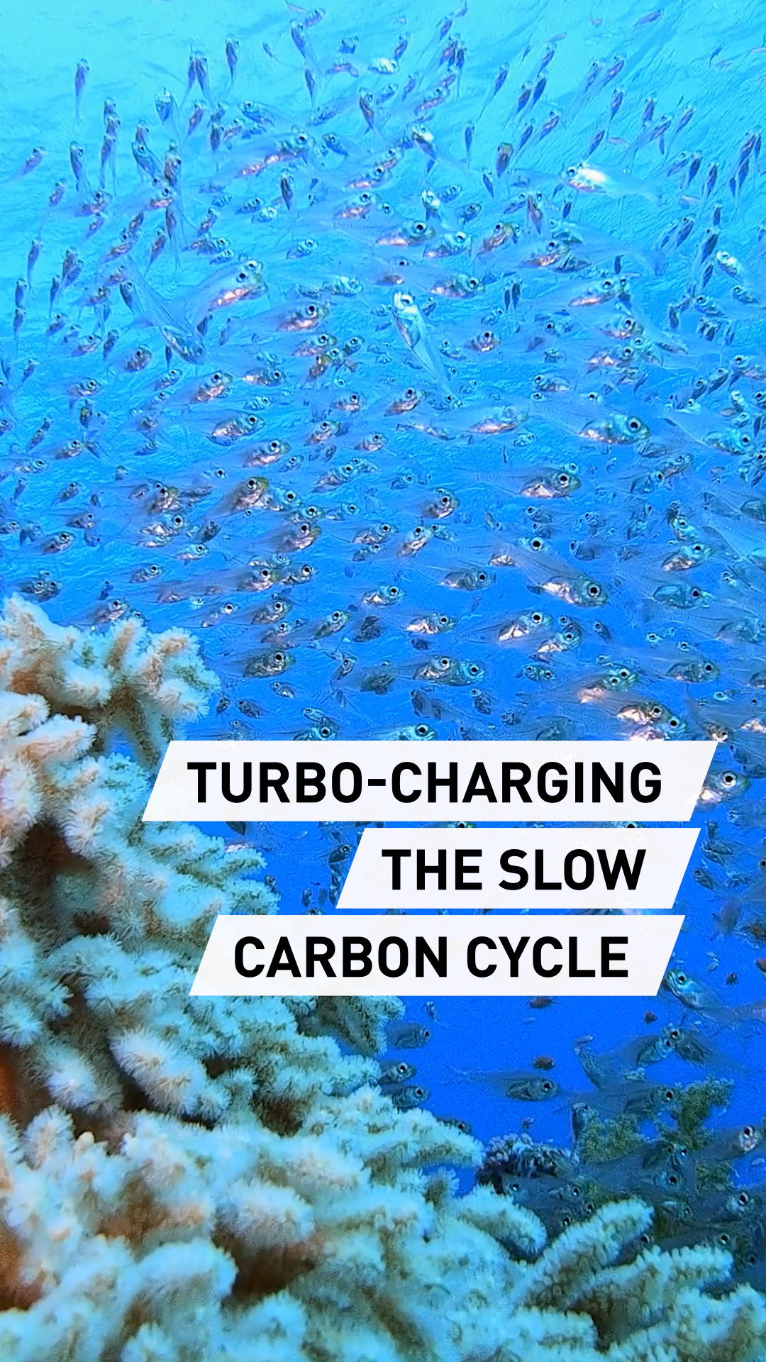 Turbo-charging the slow carbon cycle