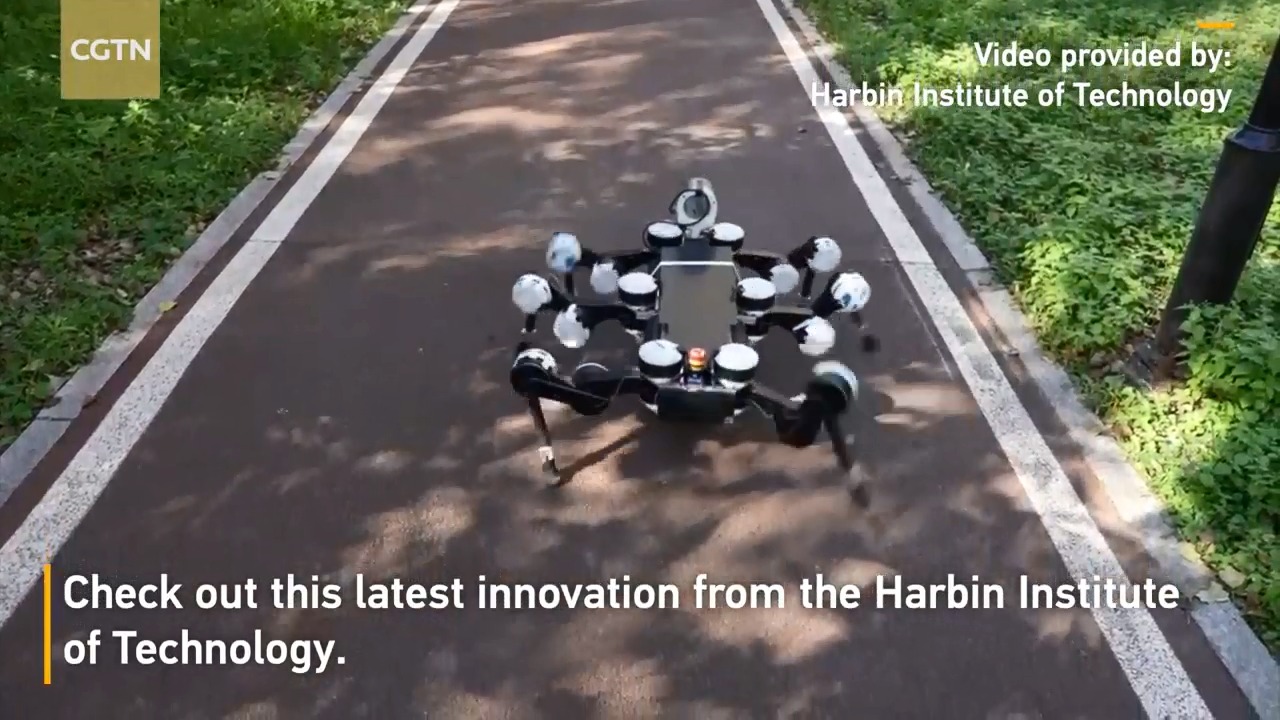 Campus Engineering: Chinese institute develops 