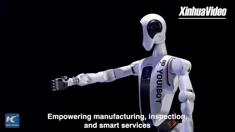 Multi-form humanoid robot matrix unveiled in China