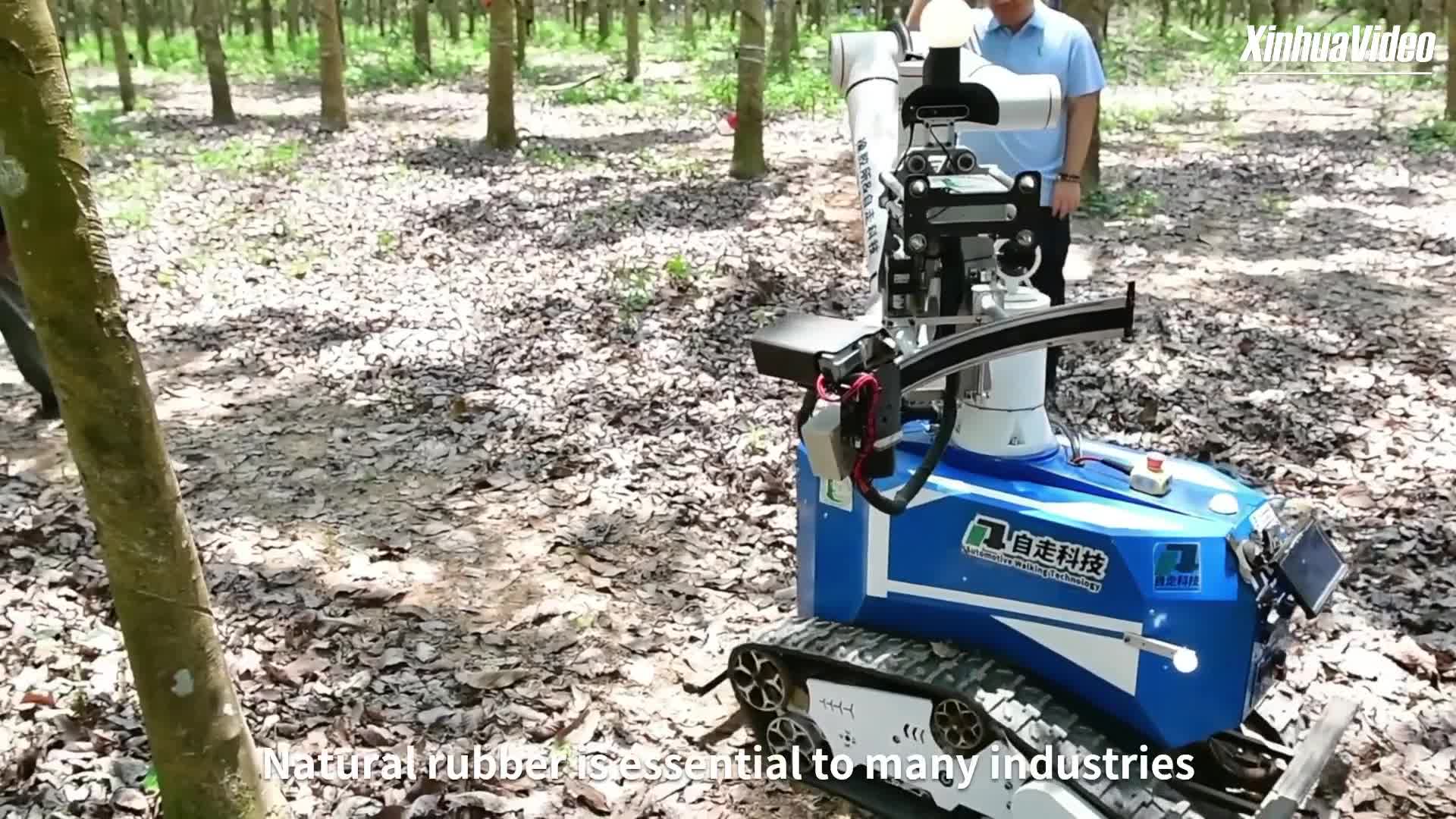 Chinese rubber-tapping robots draw interest from agricultural experts