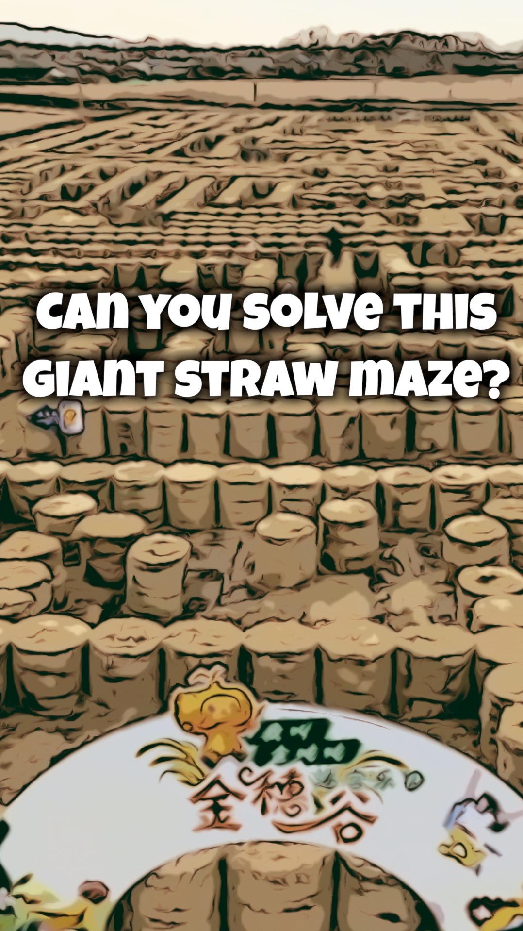Giant straw maze opens for free in China's Heilongjiang