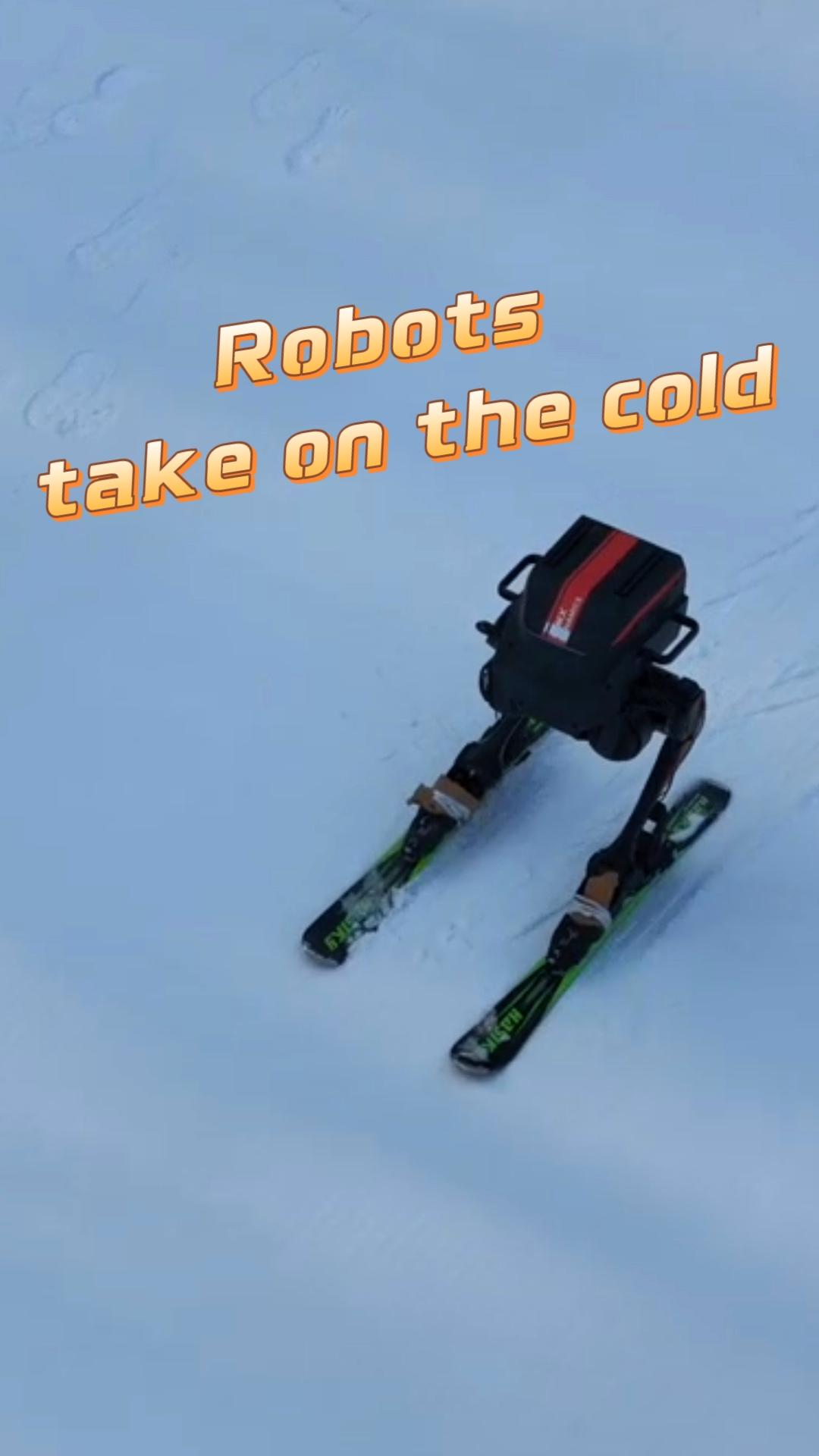 Watch robots tackle ice-snow games