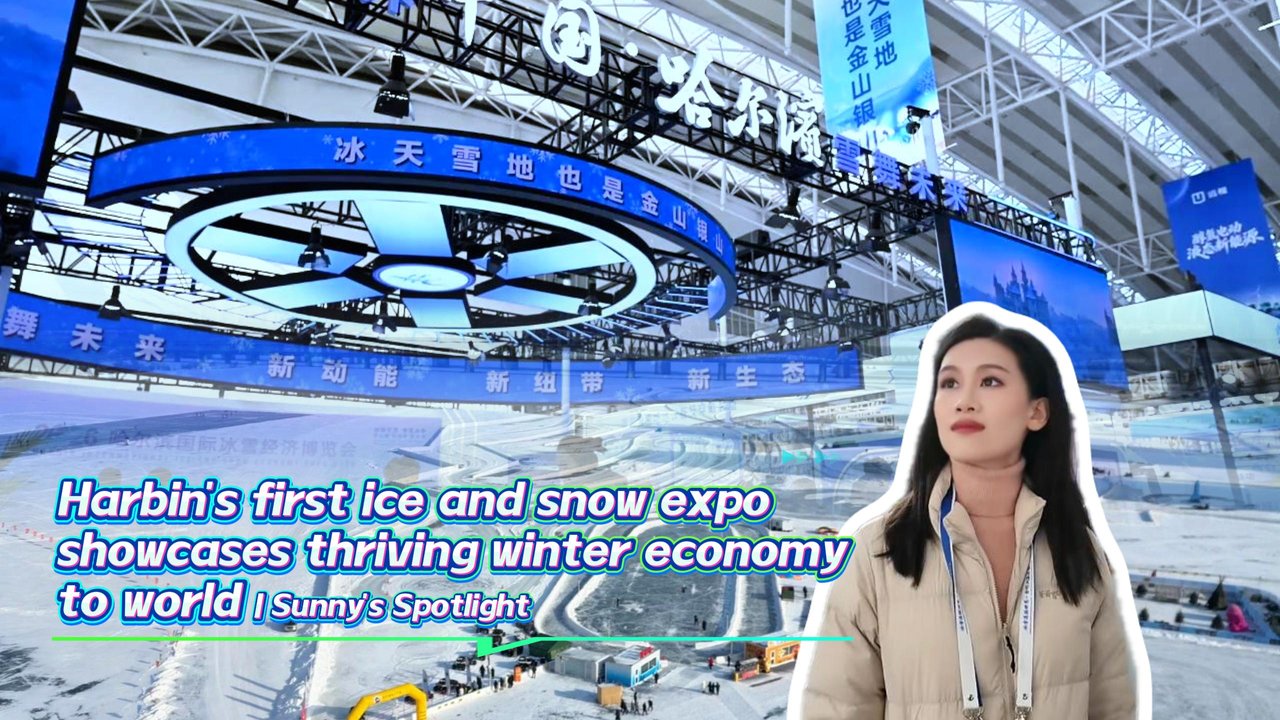 Harbin's first ice and snow expo showcases thriving winter economy to ...