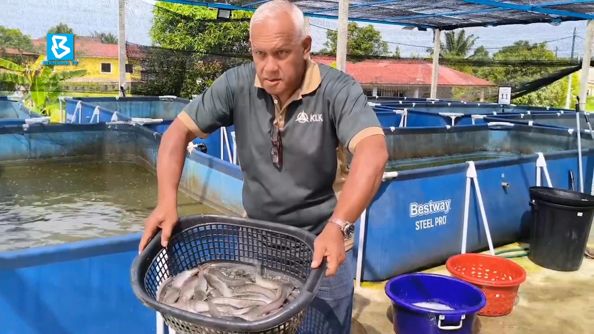 #BizPulse : A catfish farming project spearheaded by the Federal ...