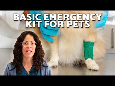 FIRST AID KIT for DOGS and CATS Essentials for a BASIC KIT!