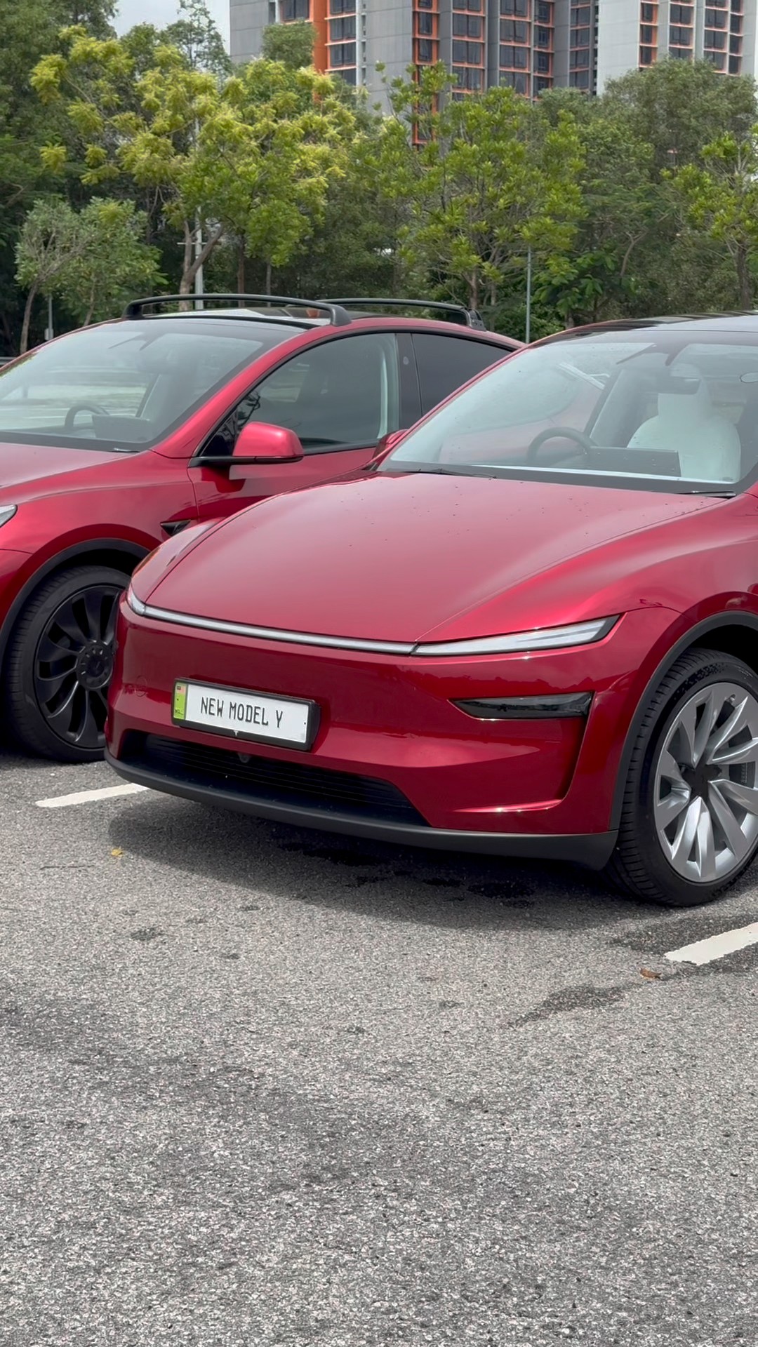 Tesla Model Y “Juniper” colours