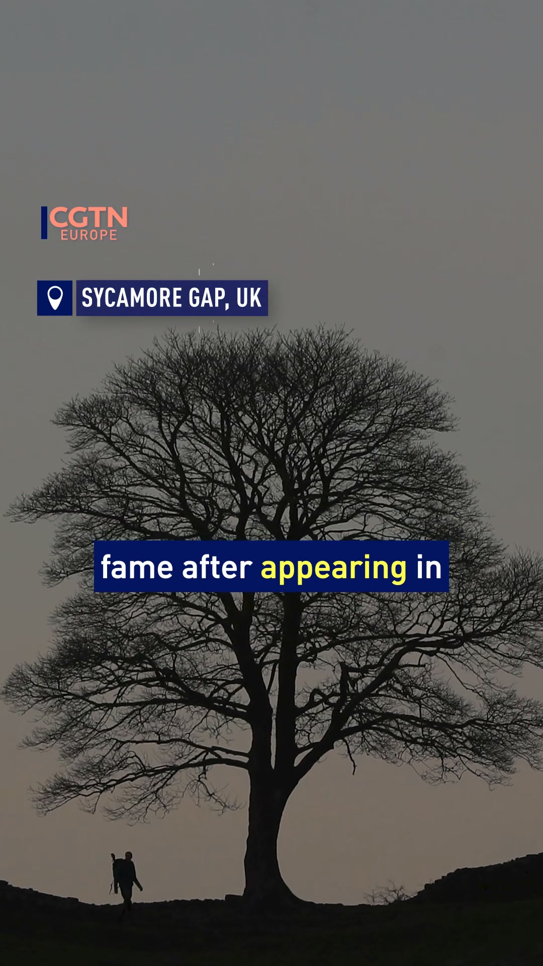 Shocking new footage captures the moment the Sycamore Gap Tree was felled