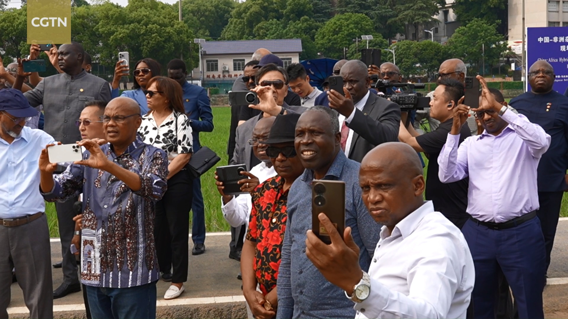 From food to essentials: African ambassadors visit China's Hunan