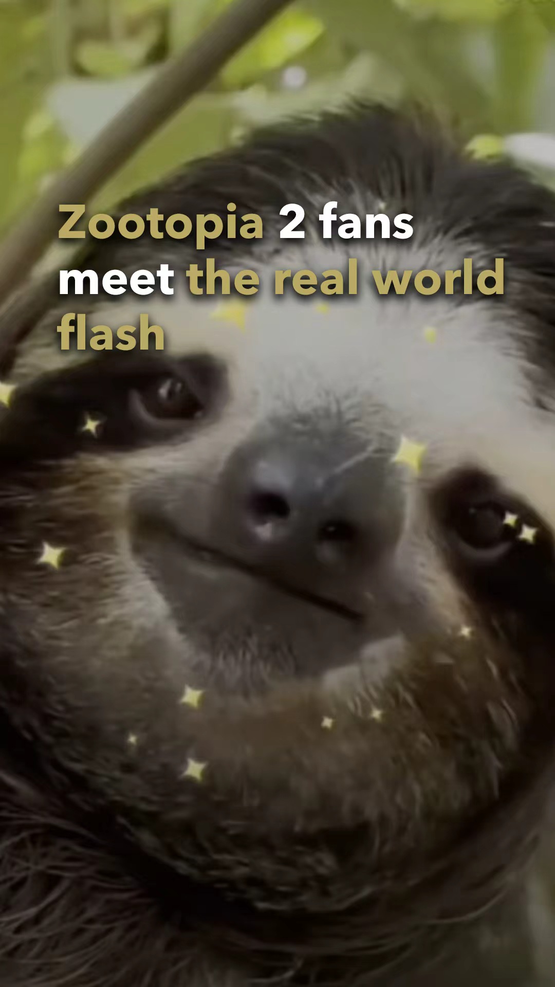 Zootopia 2 is lighting up theaters, and yes, Flash is still stealing ...