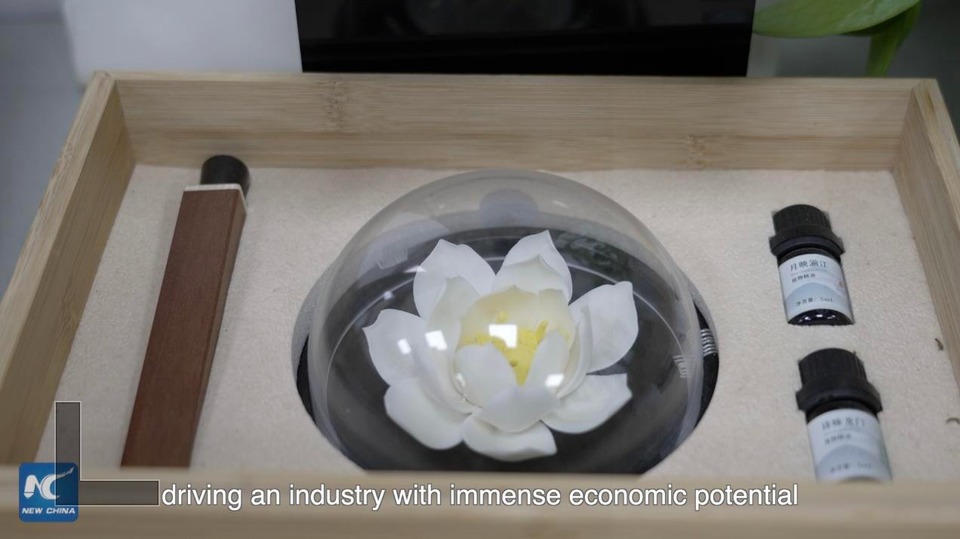 From Blooms to Biotech: How Flowers Are Becoming Everyday Essentials