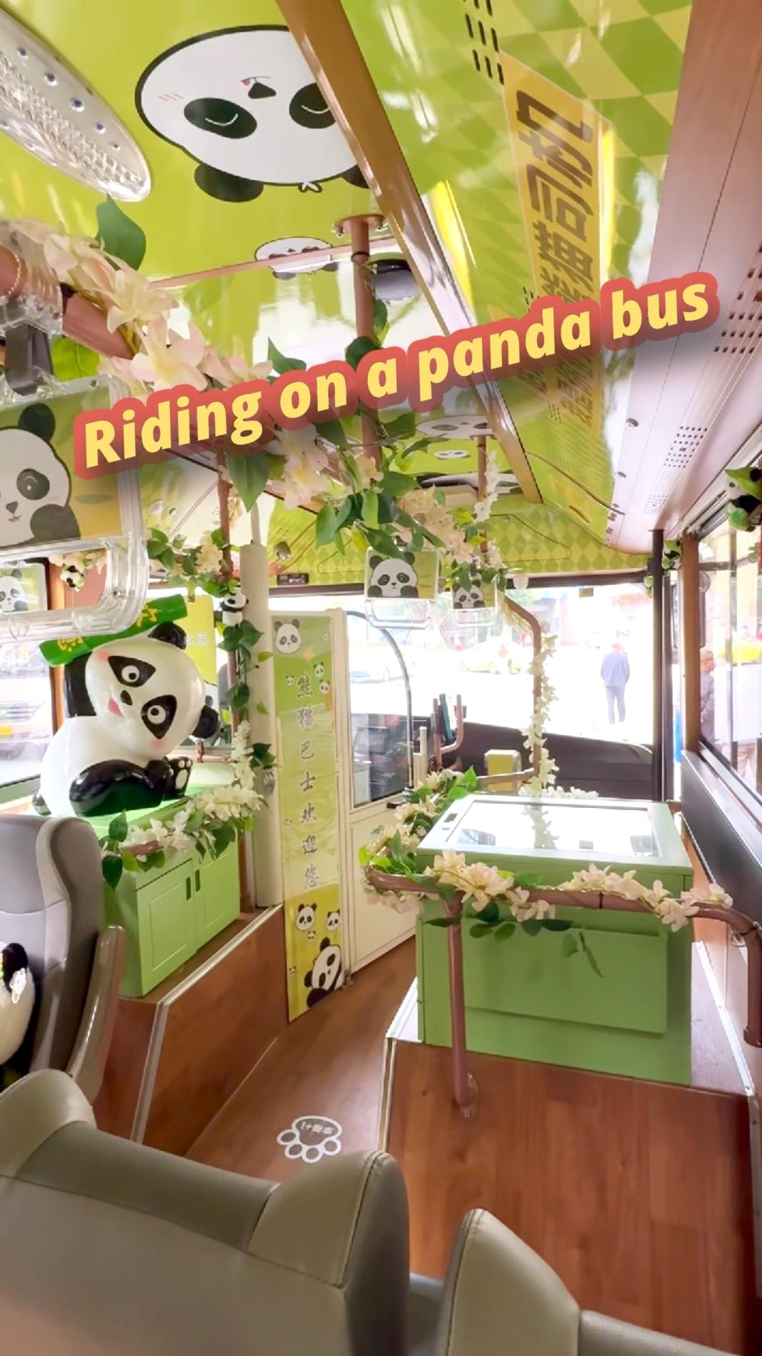 China's Chongqing launches panda-themed sightseeing bus
