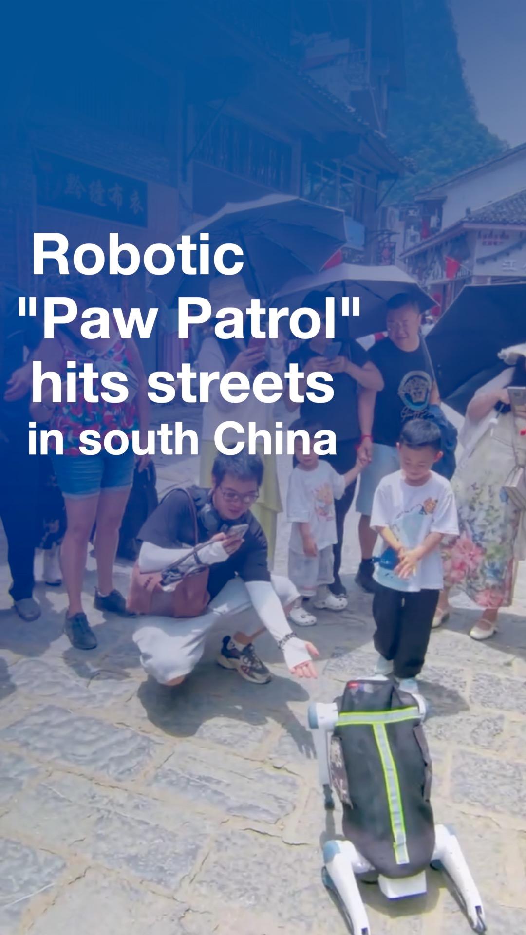 Robotic "Paw Patrol" hits streets in south China