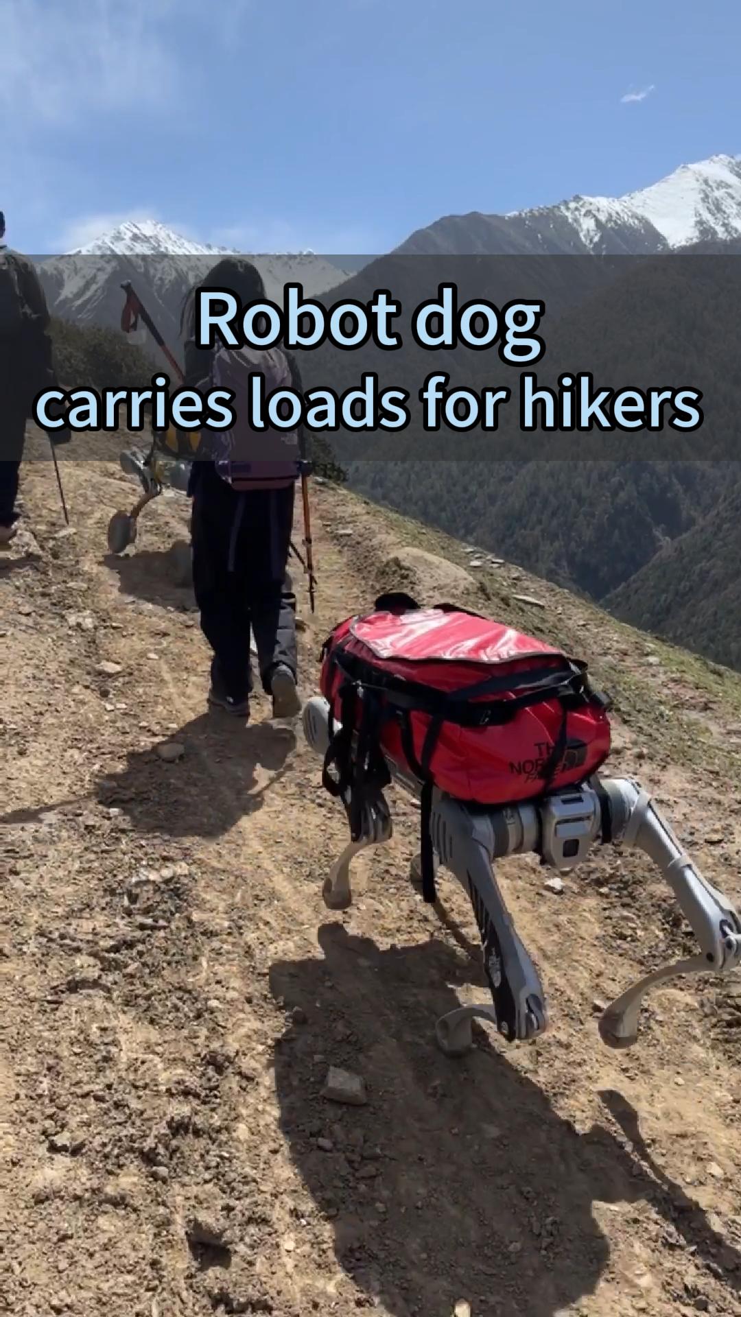 China's robot dog helps hikers at high altitudes