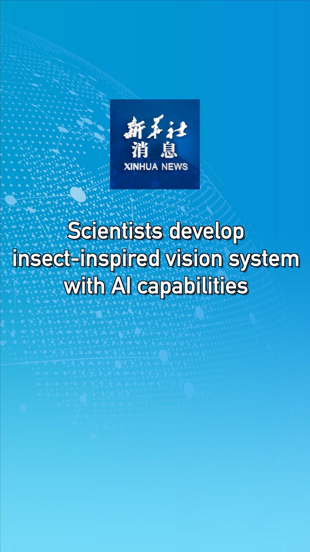 Xinhua News | Scientists develop insect-inspired vision system with AI ...