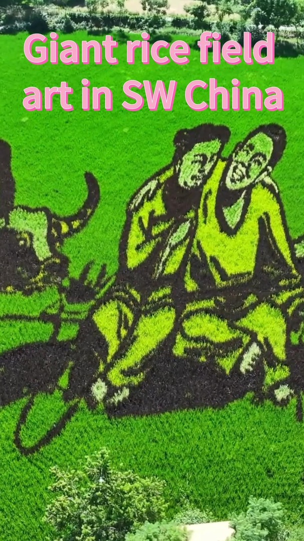 Giant rice field art in SW China