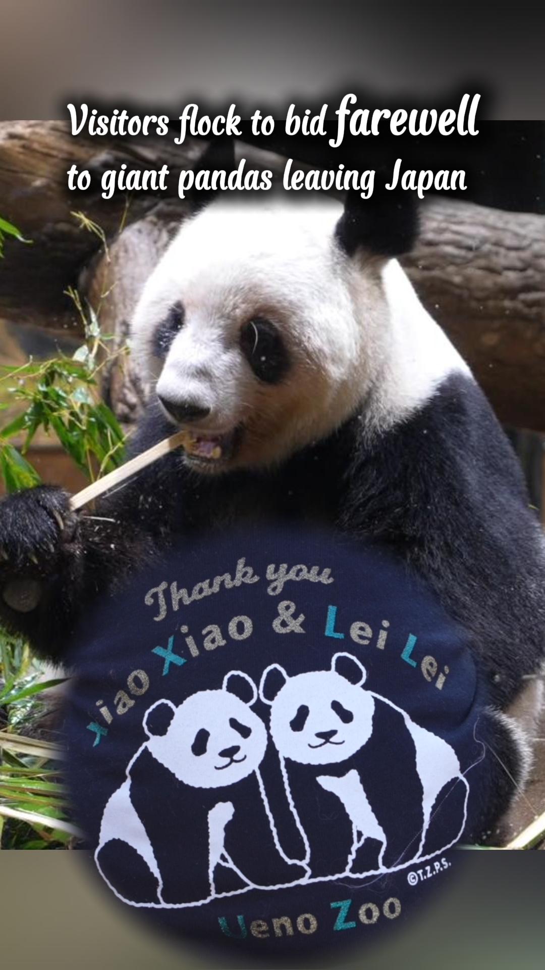 Visitors flock to bid farewell to giant pandas leaving Japan